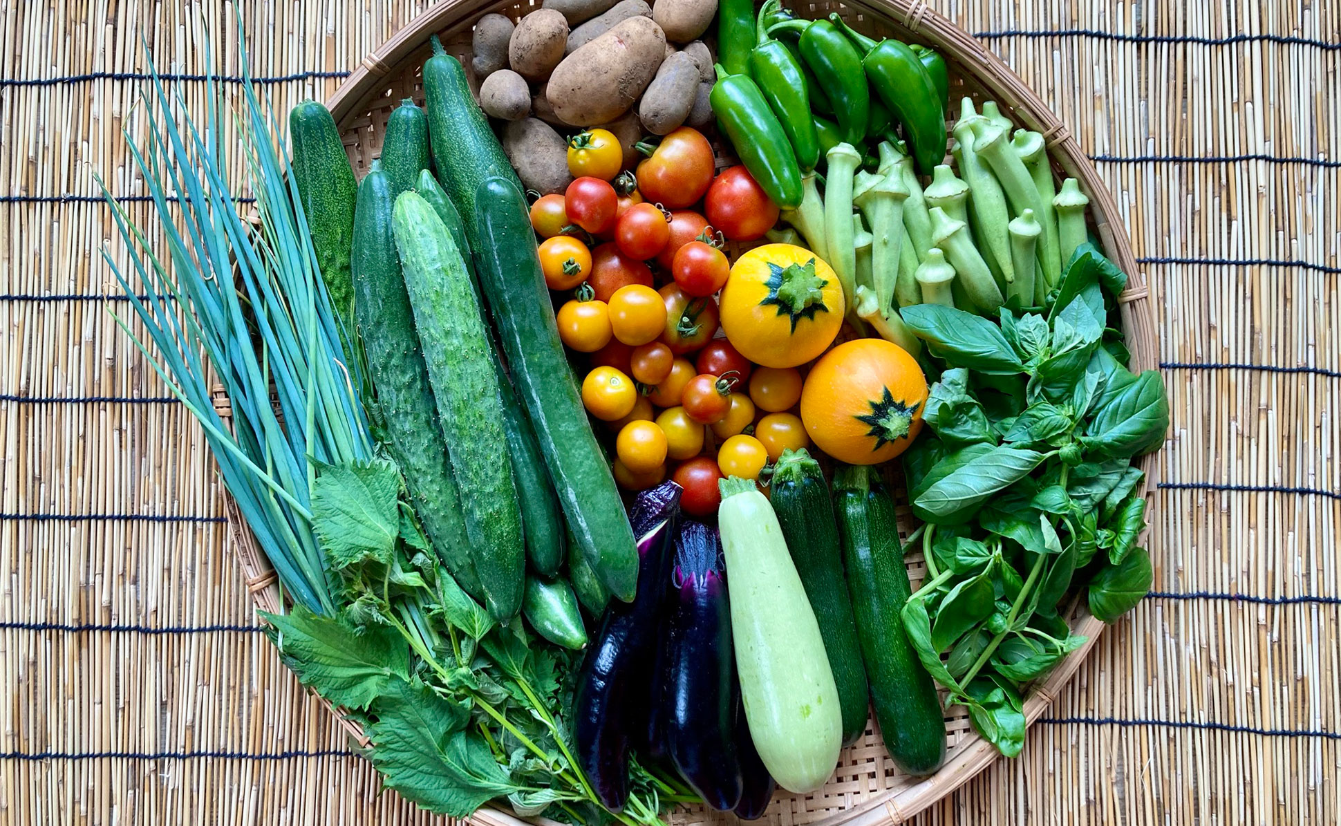 谷口 佳江 さん｜文教大学学園広報誌「あやなりBP」